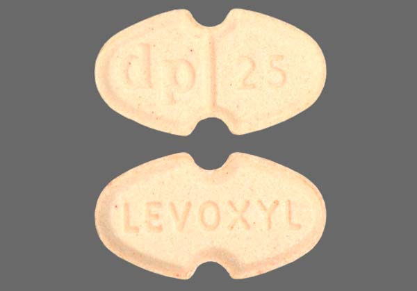 Levoxyl 25Mcg Tab 100 Ea Tab - 163010
