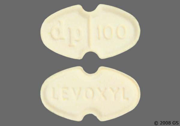 Levoxyl 100Mcg Tab 1000 Ea Tab - 193306
