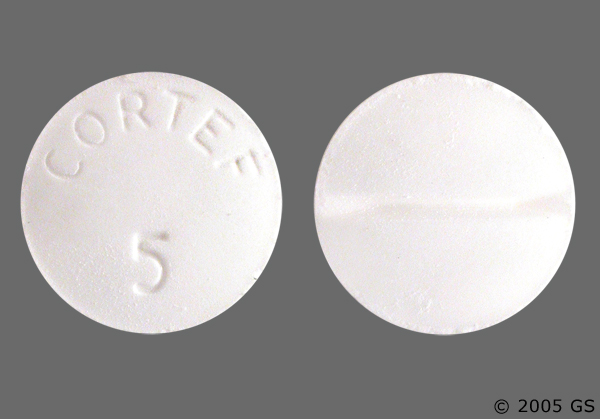 Hydrocort 5Mg Oral Tab 50 Ea Tab - 137721