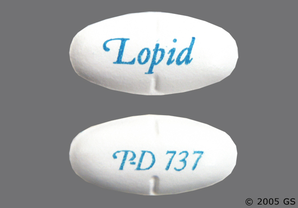 Lopid 600Mg Tab 500 Ea Tab - 181091