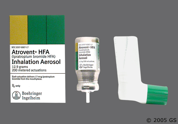 Atrovent Hfa 17Mcg/Actuation Inh Aerosol 1 Canisters - 118546