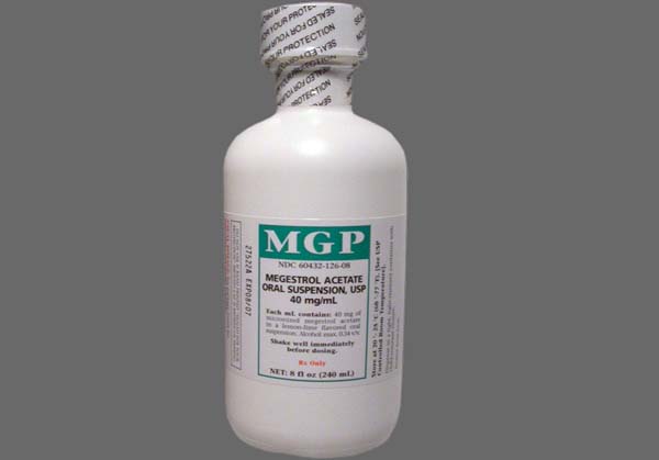 Megestrol Ace 40Mg/1ML Oral Susp 240 Ml Susp - 176779