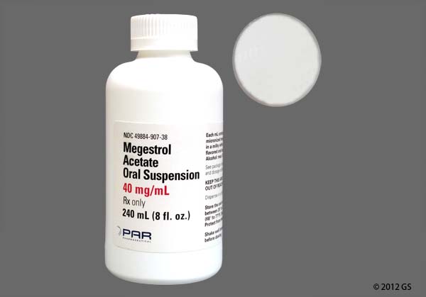 Megestrol Ace 40Mg/1ML Oral Susp 240 Ml Susp - 176736