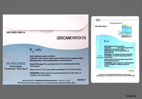 Lidocaine 5% Transdermal Pat - 24 Hour 30 Pouches 1 Ea - 134441