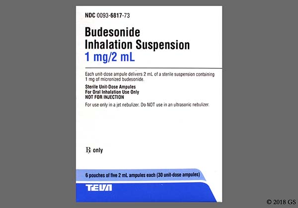 Budesonide 1Mg/2ML Nebulizer Susp 6 Pouches 10 Ml - 143346